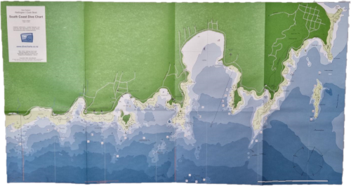 South Coast Dive Chart - Dive HQ Wellington