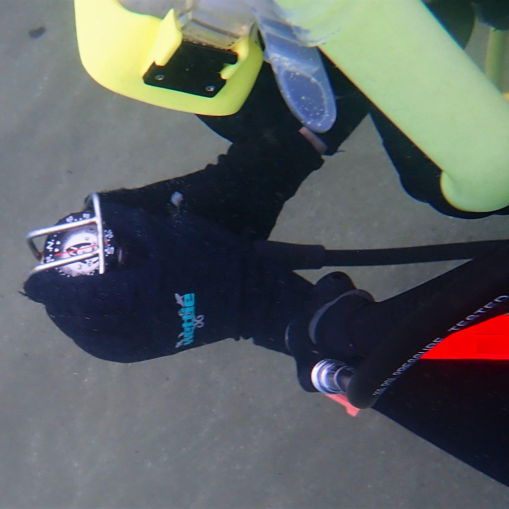 PADI Underwater Navigation Course | Dive HQ Wellington