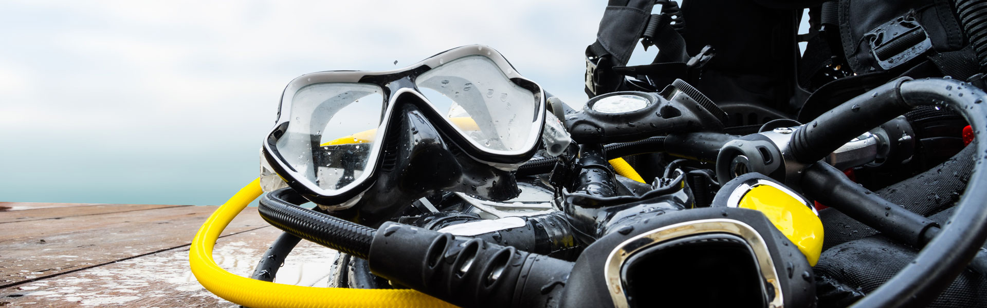 Learn to Dive - PADI Courses | Dive HQ Wellington